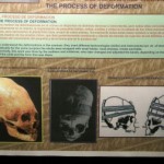 Elongated Skulls Of Paracas: A People And Their World - Hidden Inca Tours