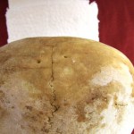 Elongated Skulls Of Paracas: A People And Their World - Hidden Inca Tours