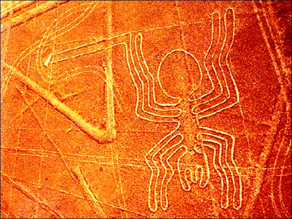 naz_spider - Hidden Inca Tours