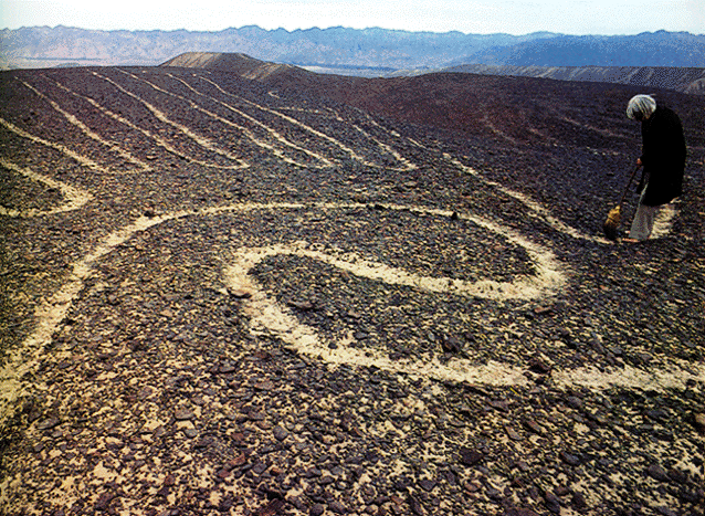 nazca3 - Hidden Inca Tours