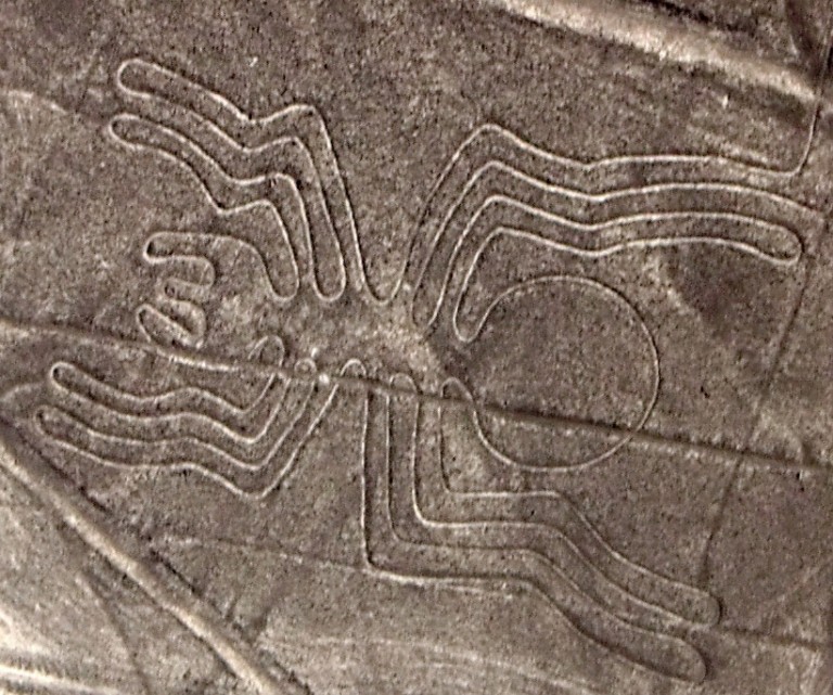 spider - Hidden Inca Tours