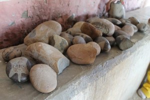 The Ica Stones Of Peru: Mystery Or Mimicry? - Hidden Inca Tours