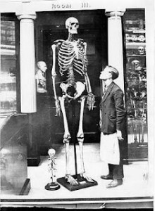 Giant Humans: Ancient And Modern Phenomenon... - Hidden Inca Tours