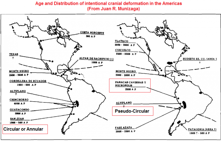 Cranial Deformation And Elongated Skulls: A Global Phenomenon - Hidden ...