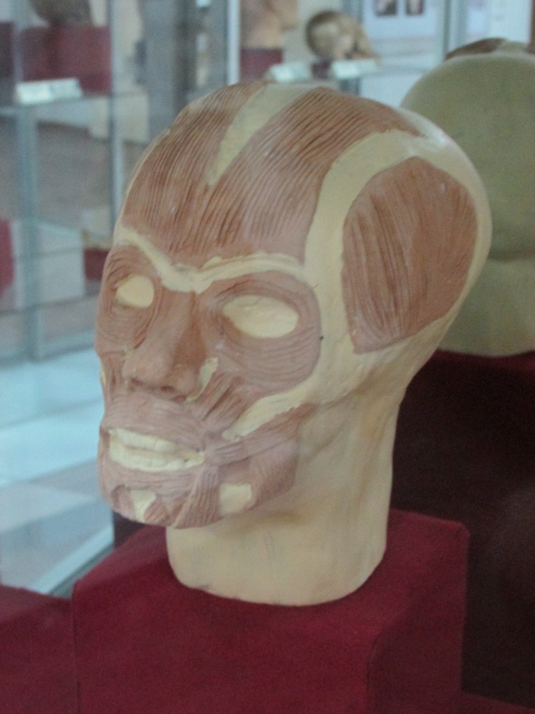 Tiwanaku Bolivia: Forensic Reconstruction Of Ancient Elongated Skulls ...