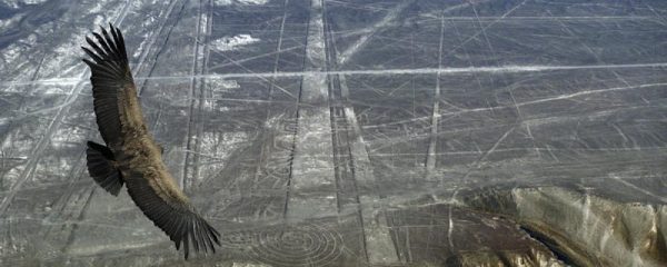 Paracas & Nazca Archives - Hidden Inca Tours