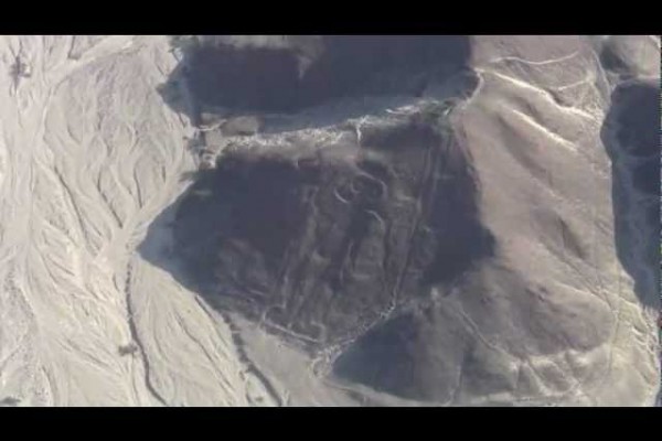 The Most Amazing Paracas Elongated Skull Found So Far; New Born Baby ...