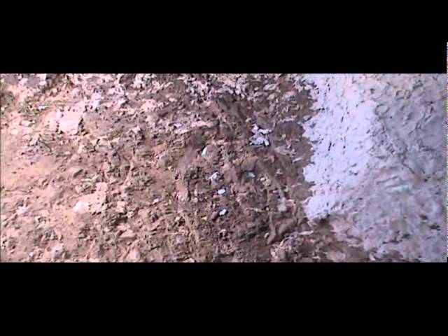 Elongated Skulls Of The Maya Of Ancient Mexico: Cranial Deformation ...