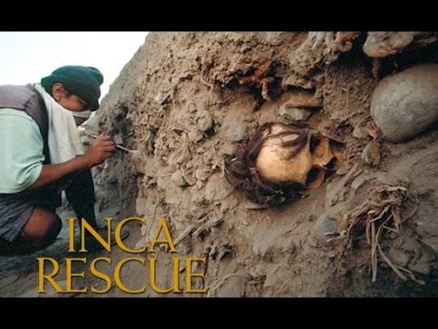 Elongated Human Skulls At The Paracas History Museum In Peru - Hidden ...