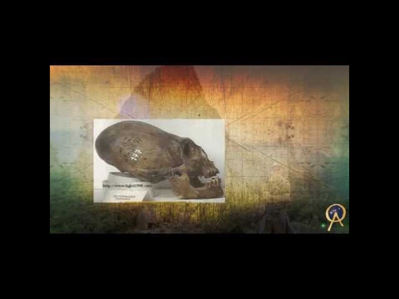 Ancient Origins Interview With Brien Foerster On Elongated Skulls Hidden Inca Tours