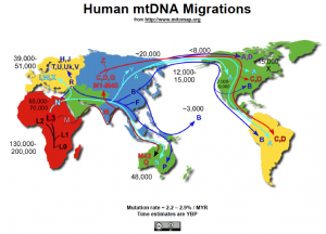 www.mitomap.org_pub_MITOMAP_MitomapFigures_WorldMigrations2013 - Hidden ...