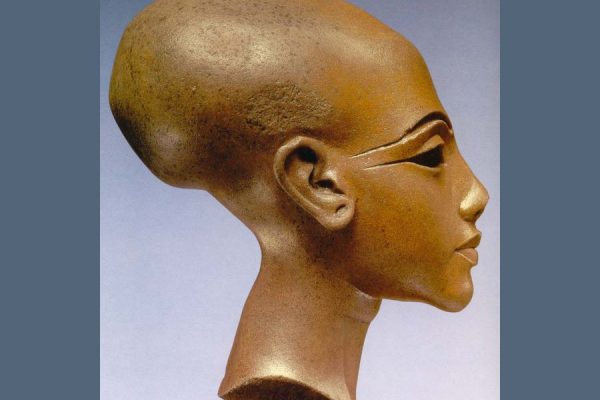 The Strange Inga Stone Inscriptions Of Brazil - Hidden Inca Tours