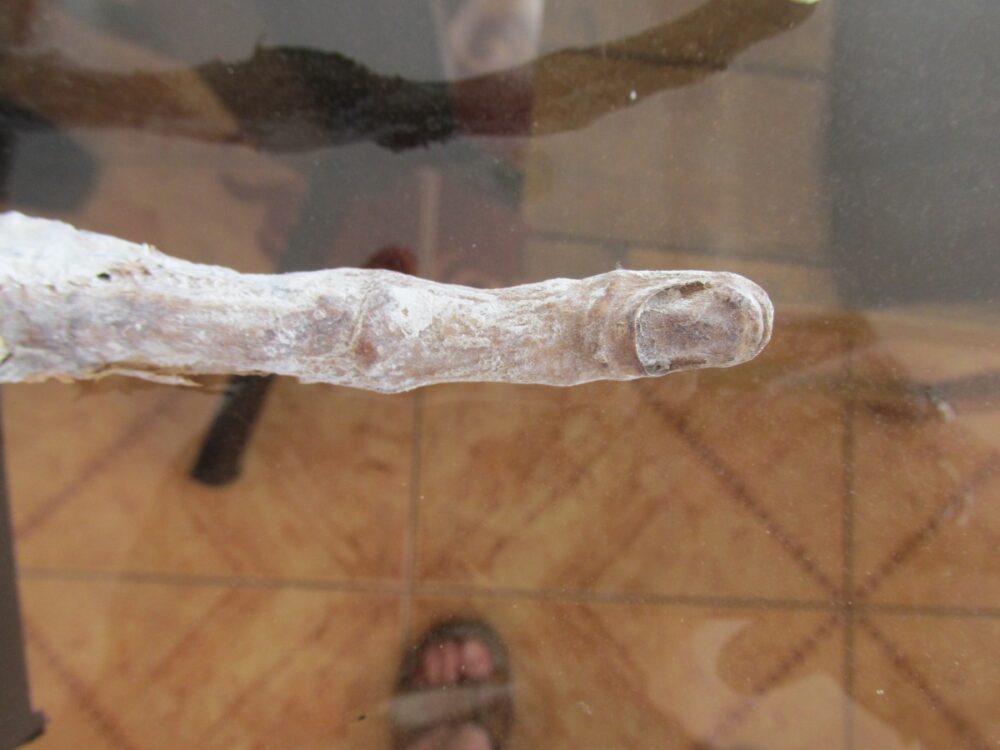 Strange "Alien" Hand Found On The Coast Of Peru - Hidden Inca Tours