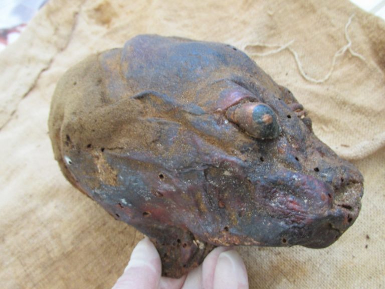 The Strangest Ancient Peruvian Skull Encountered So Far - Hidden Inca Tours