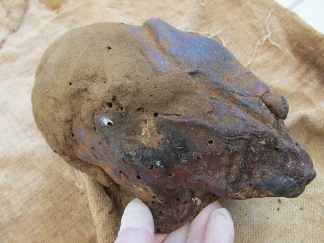 The Strangest Ancient Peruvian Skull Encountered So Far - Hidden Inca Tours