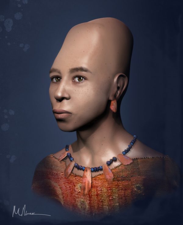 New Book: Elongated Skulls Of Paracas Peru: DNA Results And More ...