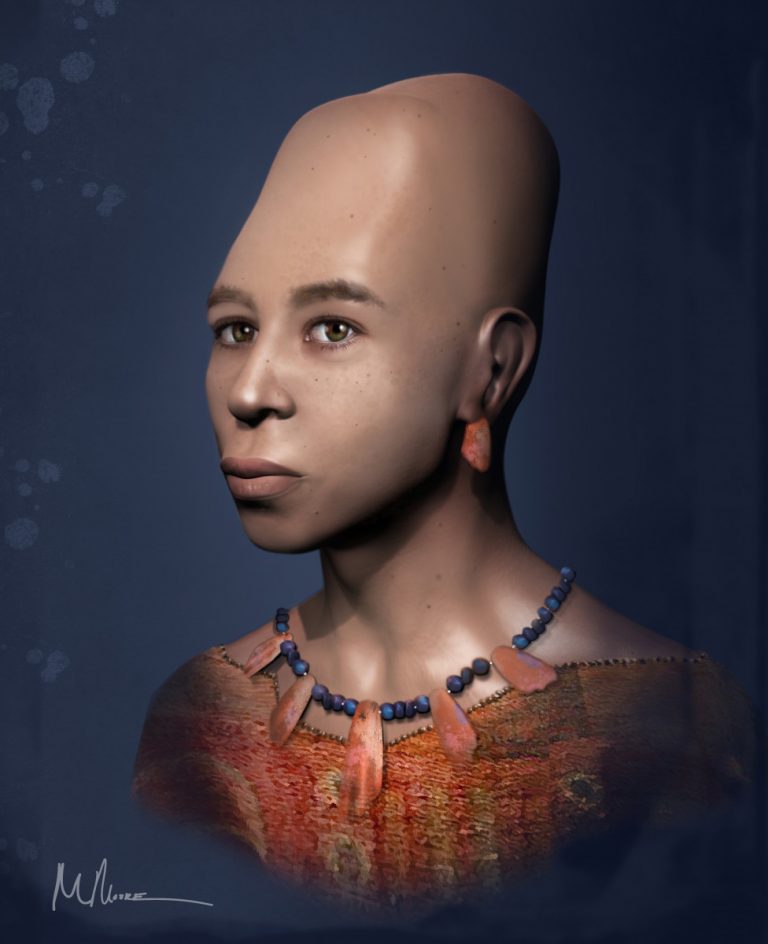 New Book: Elongated Skulls Of Paracas Peru: DNA Results And More ...