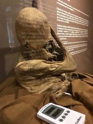 Remarkable Ancient Paracas Mummy On Public Display In Lima Peru ...