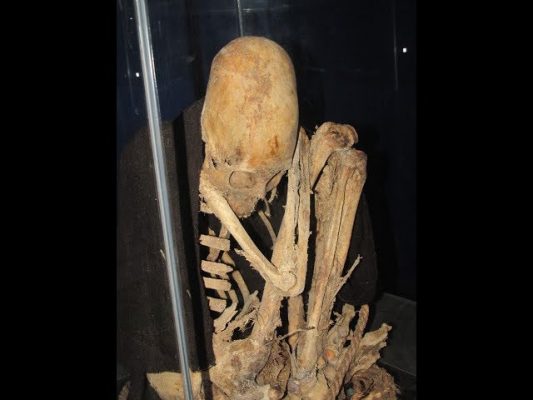 August 2018 Elongated Skulls Tour Of Peru: Only 2 Spaces Left - Hidden ...