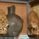 Elongated Skulls From Ancient Russia And Black Sea Areas - Hidden Inca ...