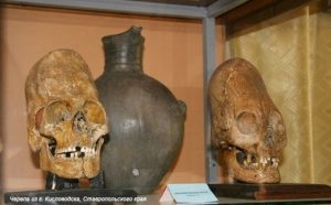 Elongated Skulls From Ancient Russia And Black Sea Areas - Hidden Inca ...