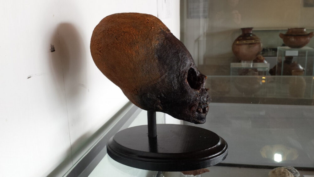 Recent DNA Tests Of Paracas Peru Elongated Skulls Support Earlier ...