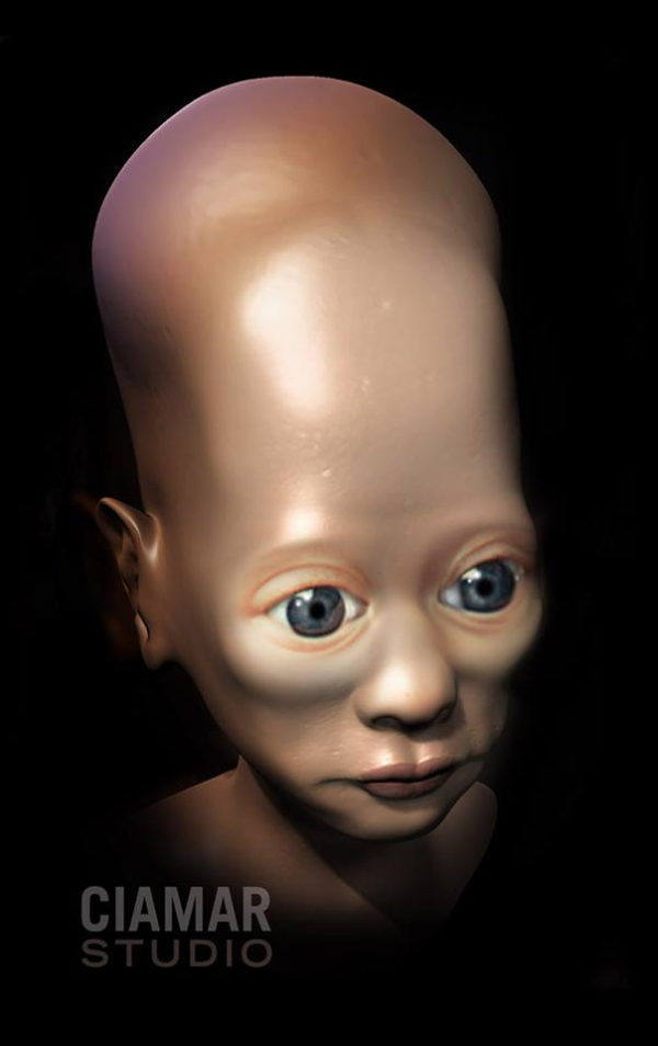 Elongated Skulls Of Paracas Peru: Paternal Nuclear DNA Testing Results ...